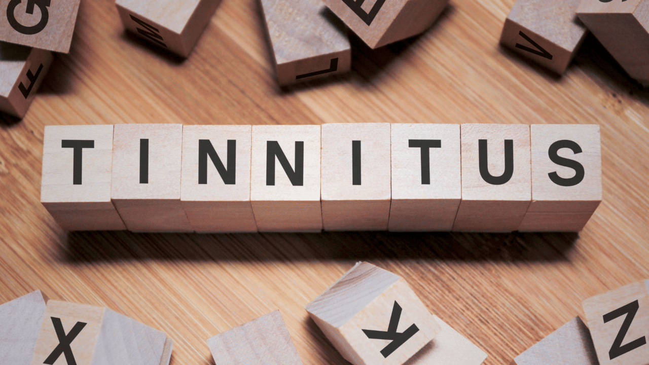Tinnitus Workshop Heuser Hearing Institute
